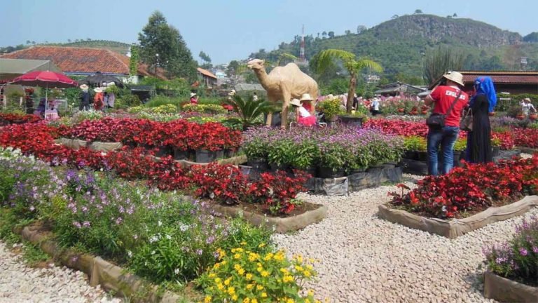 √ Taman Begonia Lembang: Review & Harga Tiket Masuk 2026