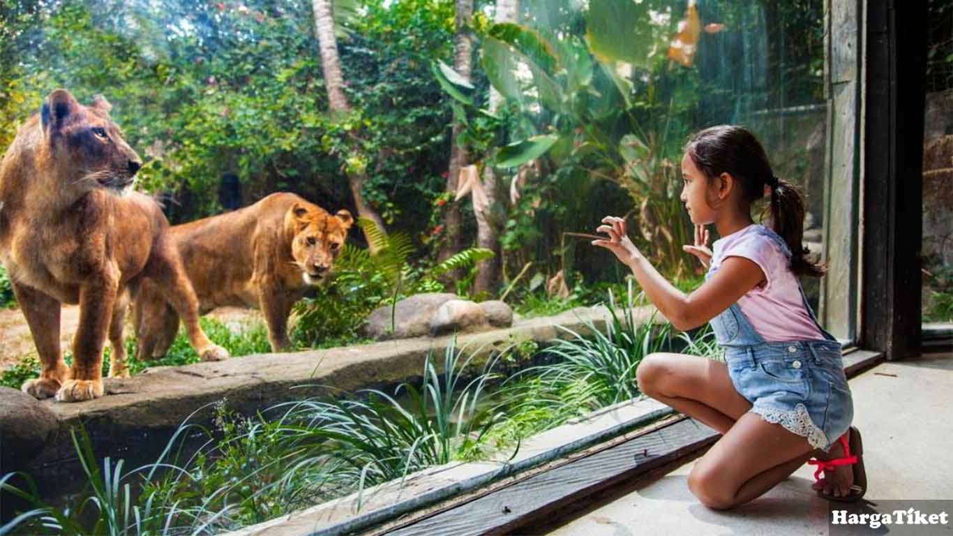 √ Bali Zoo Park: Daya Tarik, Jam Buka, Harga Tiket Masuk 2026