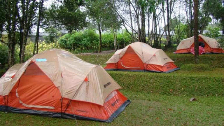 √ Curug Panjang Bogor: Daya Tarik, Lokasi, Harga Tiket 2026