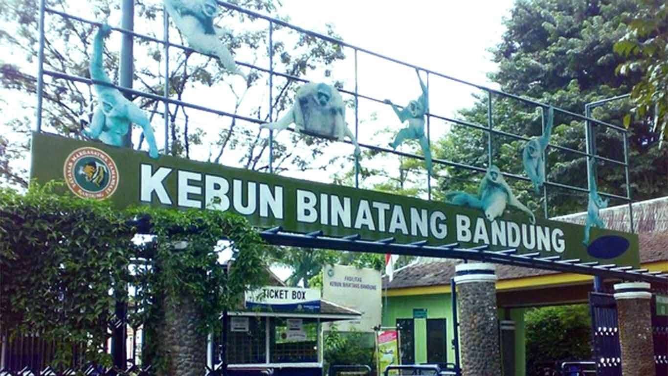 √ Kebun Binatang Bandung: Aktivitas, Lokasi, Harga Tiket 2026