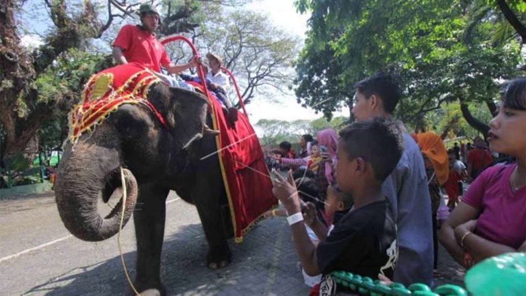 √ Kebun Binatang Surabaya (KBS): Wahana, Harga Tiket 2026