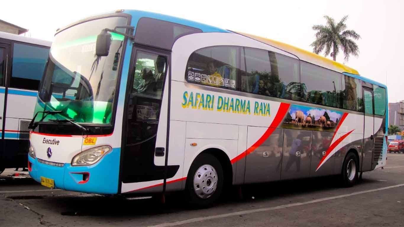 √ Harga Tiket + Jadwal Bus Safari Dharma Raya [2026]