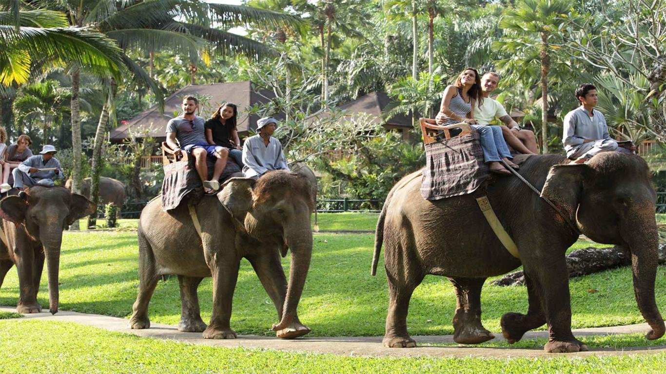 √ Elephant Safari Park Bali: Aktivitas & Tiket Masuk 2026