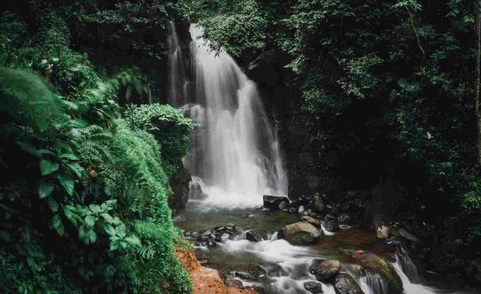 √ Curug Cipamingkis: Aktivitas, Rute, Harga Tiket Masuk 2026