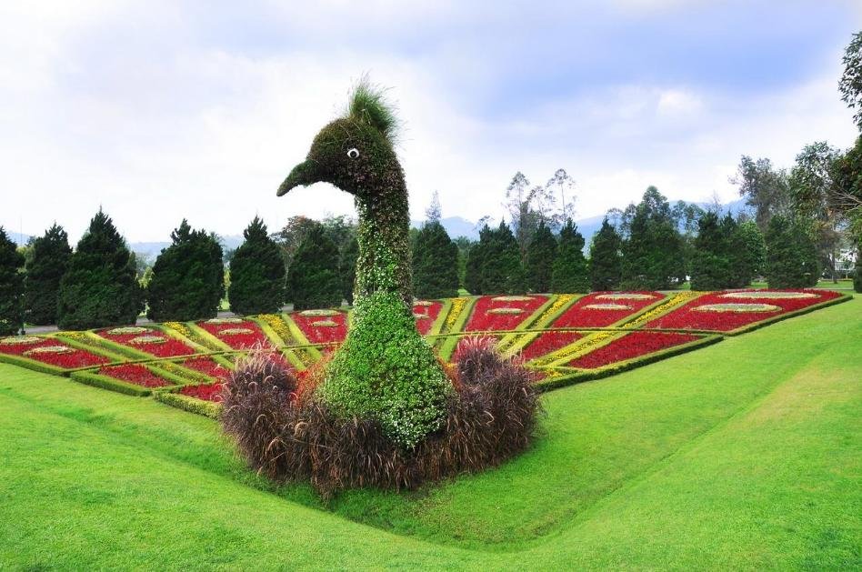 √ Taman Bunga Nusantara: Wahana, Lokasi, Tiket Masuk 2026