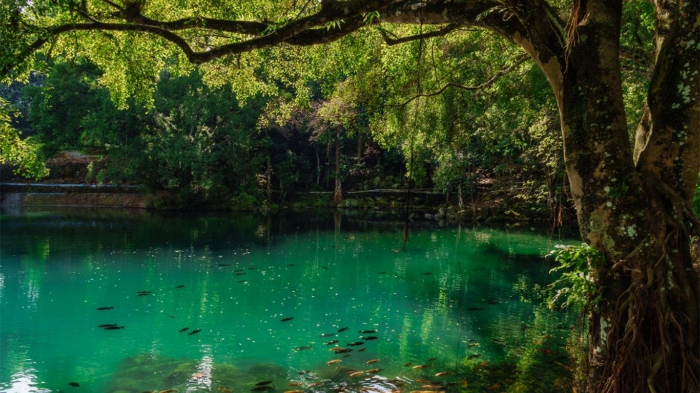 √ Telaga Biru Cicerem Kuningan: Pesona, Lokasi, Tiket Masuk 2026