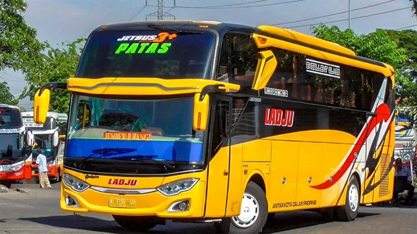 Bus Ladju: Harga Tiket, Jadwal, Agen (2026)