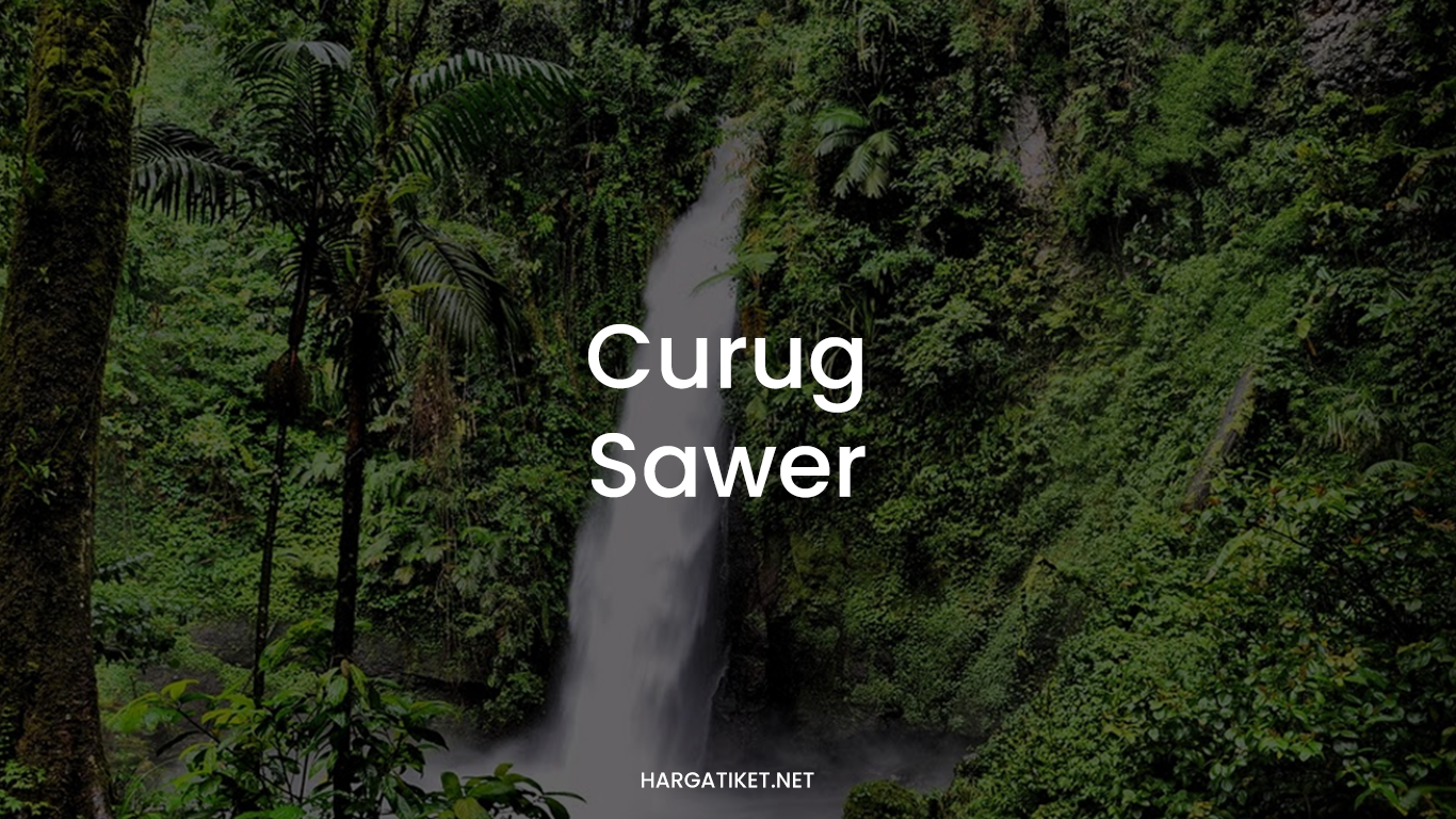 √ CURUG SAWER: Aktivitas & Tiket Masuk 2026
